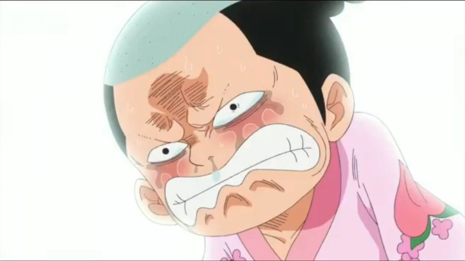 The Shogun of Wano and His Possible Powers! - Nakama Store